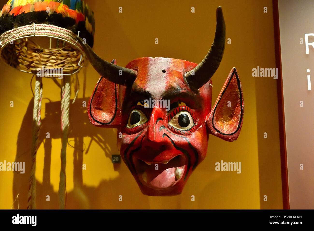 The Royal Albert Memorial Museum in Exeter Stock Photo - Alamy