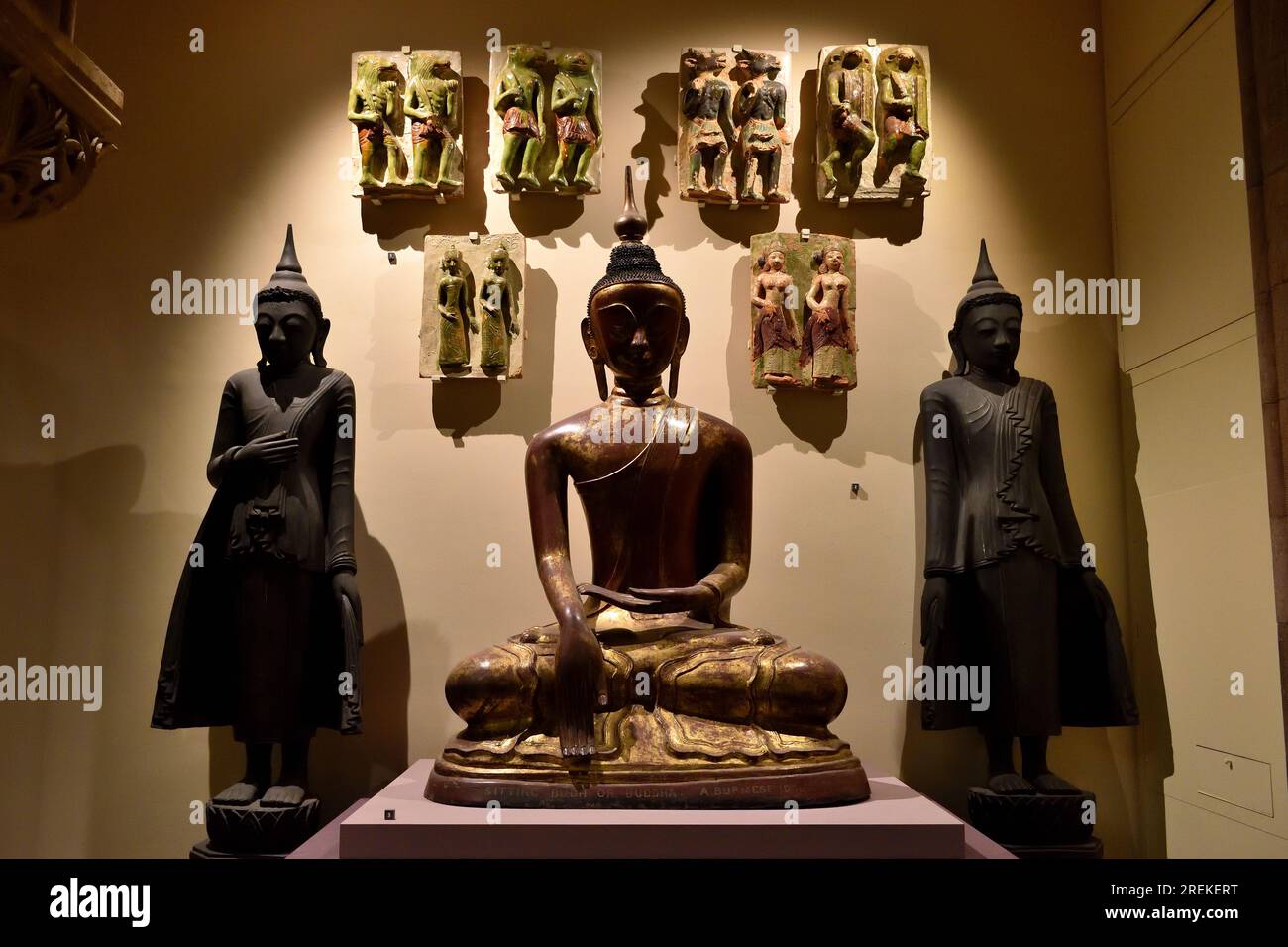 The Royal Albert Memorial Museum in Exeter Stock Photo - Alamy