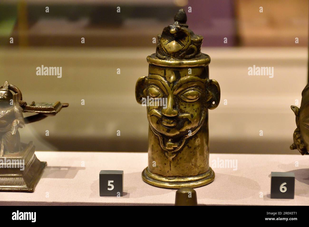 The Royal Albert Memorial Museum in Exeter Stock Photo - Alamy