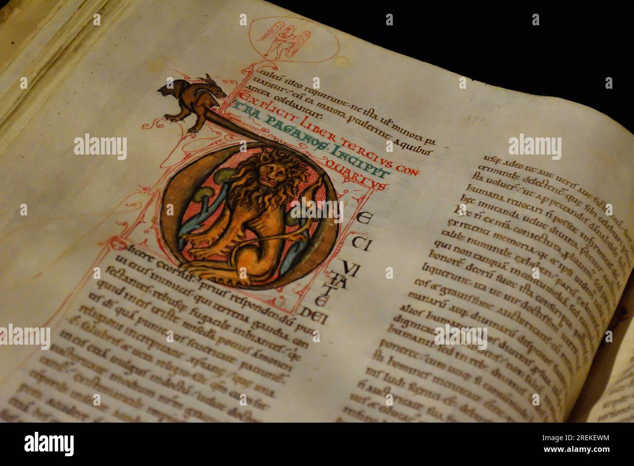 Royal albert museum exeter hi-res stock photography and images - Alamy