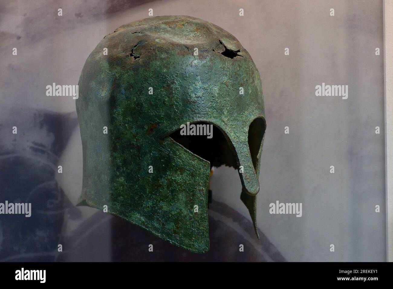 The Royal Albert Memorial Museum in Exeter Stock Photo - Alamy
