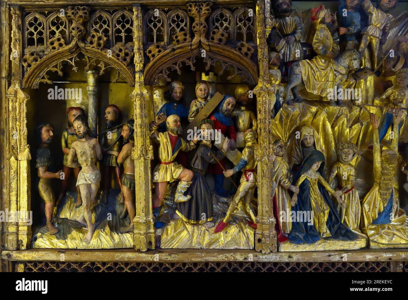 Royal albert memorial museum hi-res stock photography and images - Alamy