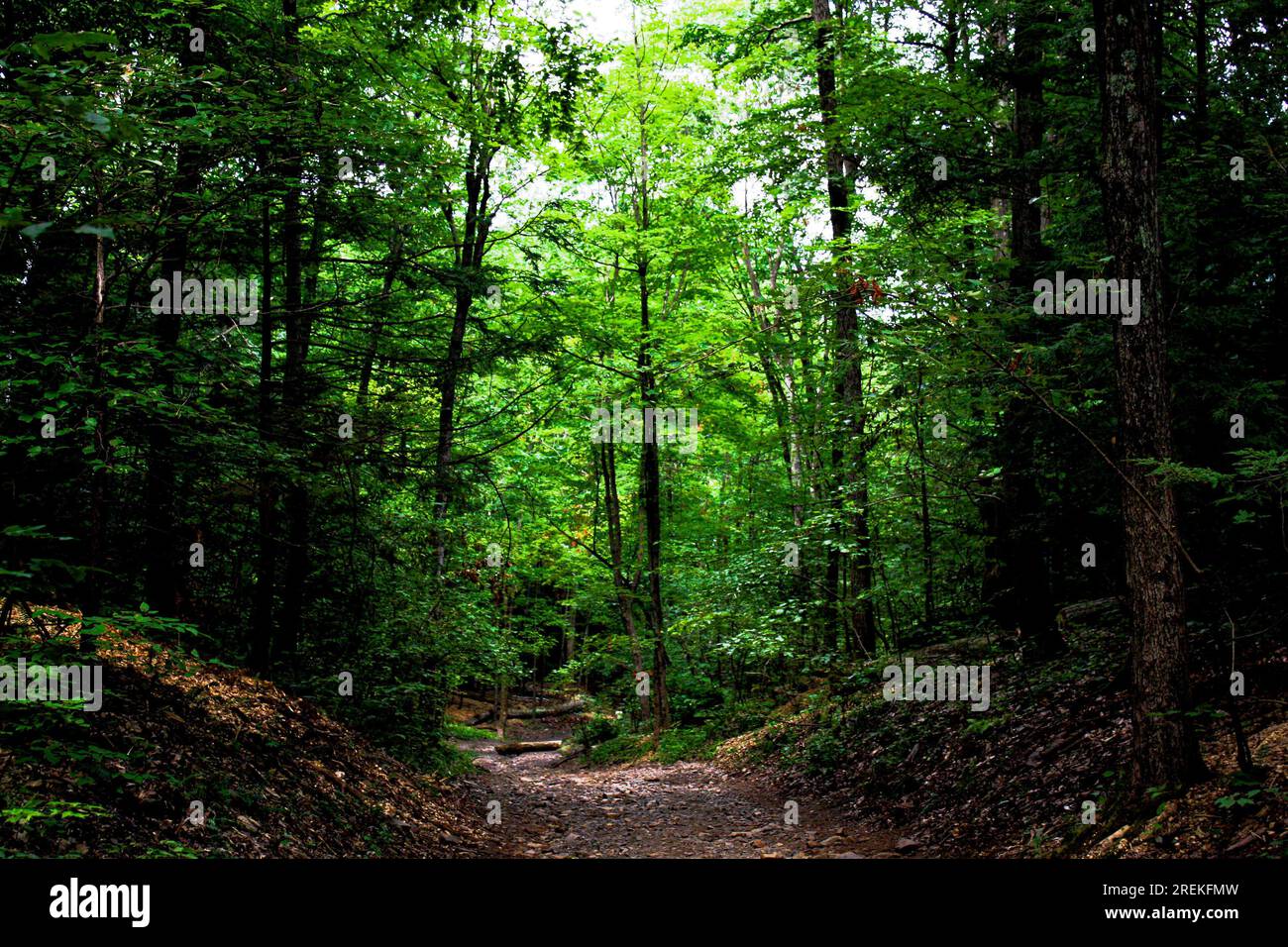 Path at Talcott Mountain State Park Stock Photo - Alamy
