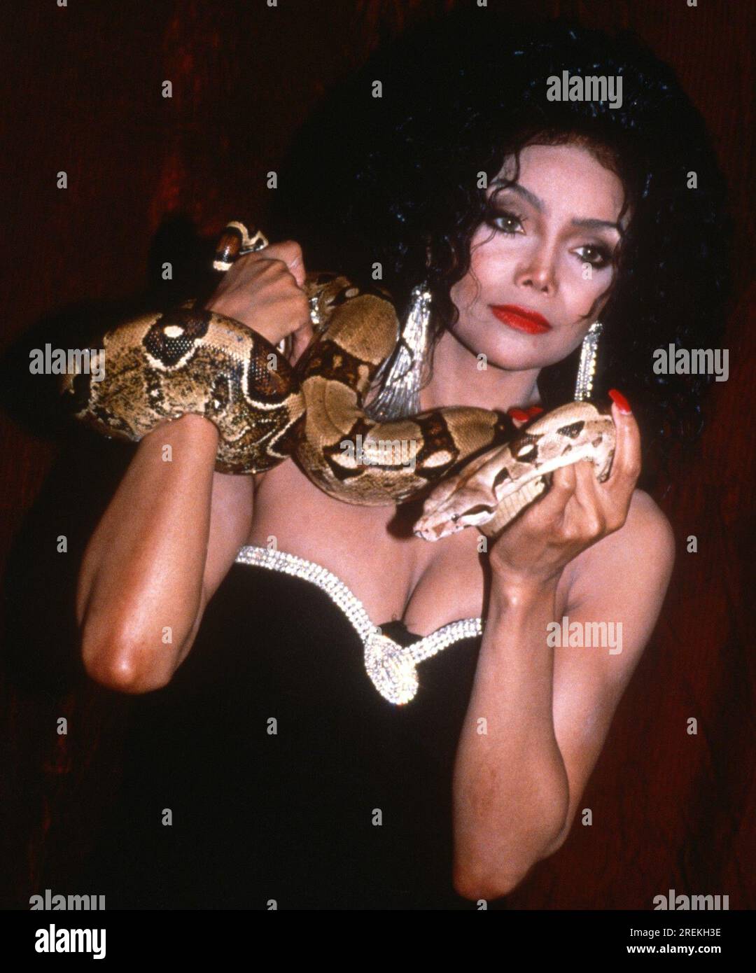 Tv party 1982 hi-res stock photography and images - Alamy