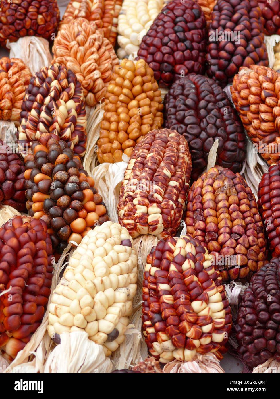 Peru exhibition hi-res stock photography and images - Alamy