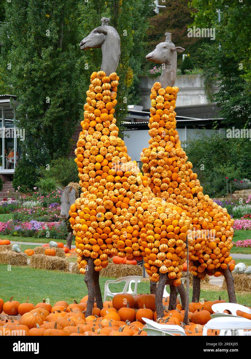 Pumpkin exhibition in the Bluehenden Barock Ludwigsburg, BW.-D. Pumpkin ...