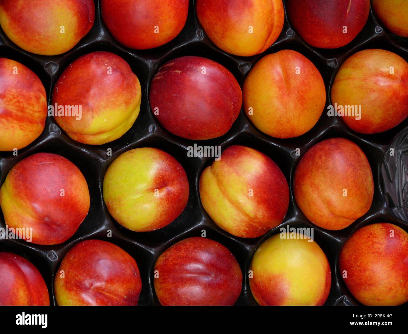 Nectarine tree container fruit hi-res stock photography and images - Alamy