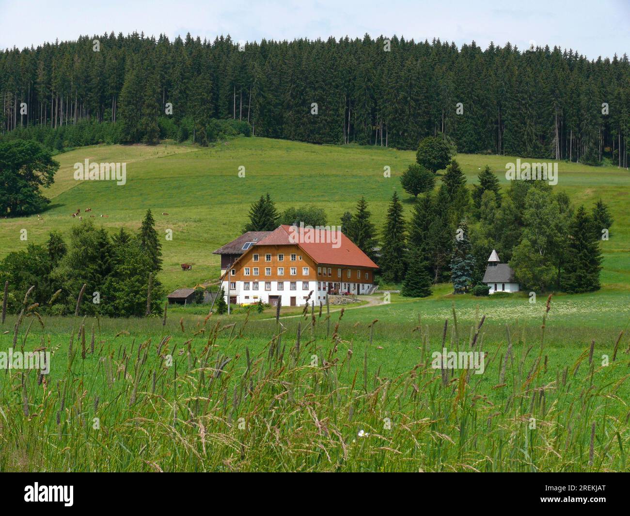 Black Forest farm with chapel in Titisee, Black Forest. Bad. -Wuertt ...