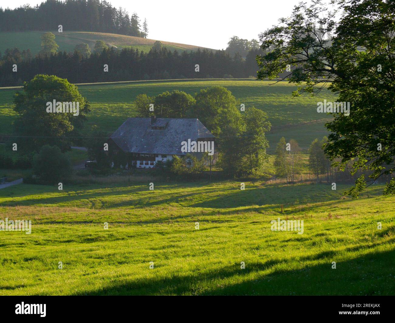 Typical farm of southern black forest hi-res stock photography and ...