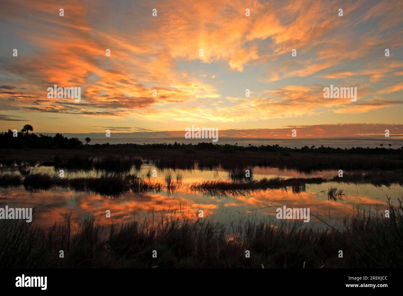 Merrit Island National Refuge Landscape with sunrise Florida USA Stock ...