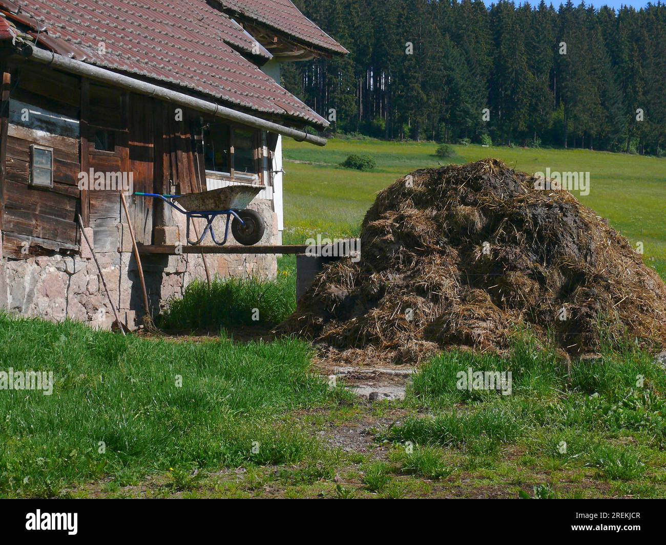 Old farm with dung heap and wheelbarrow for driving dung, near ...