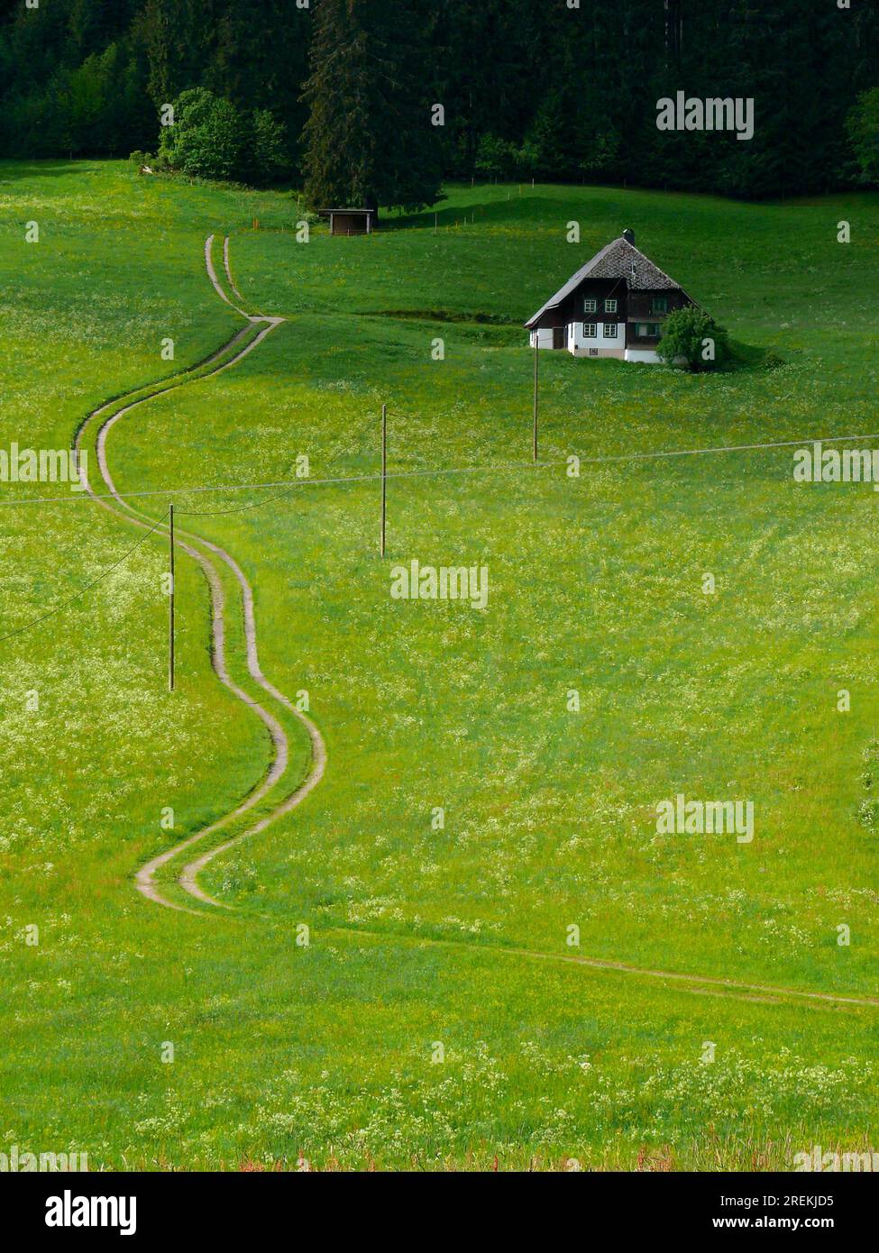 Open meadow hi-res stock photography and images - Alamy