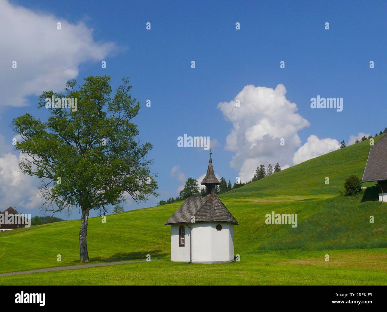 Court chapel with turret, tree, in Titisee, Black Forest, Bad ...