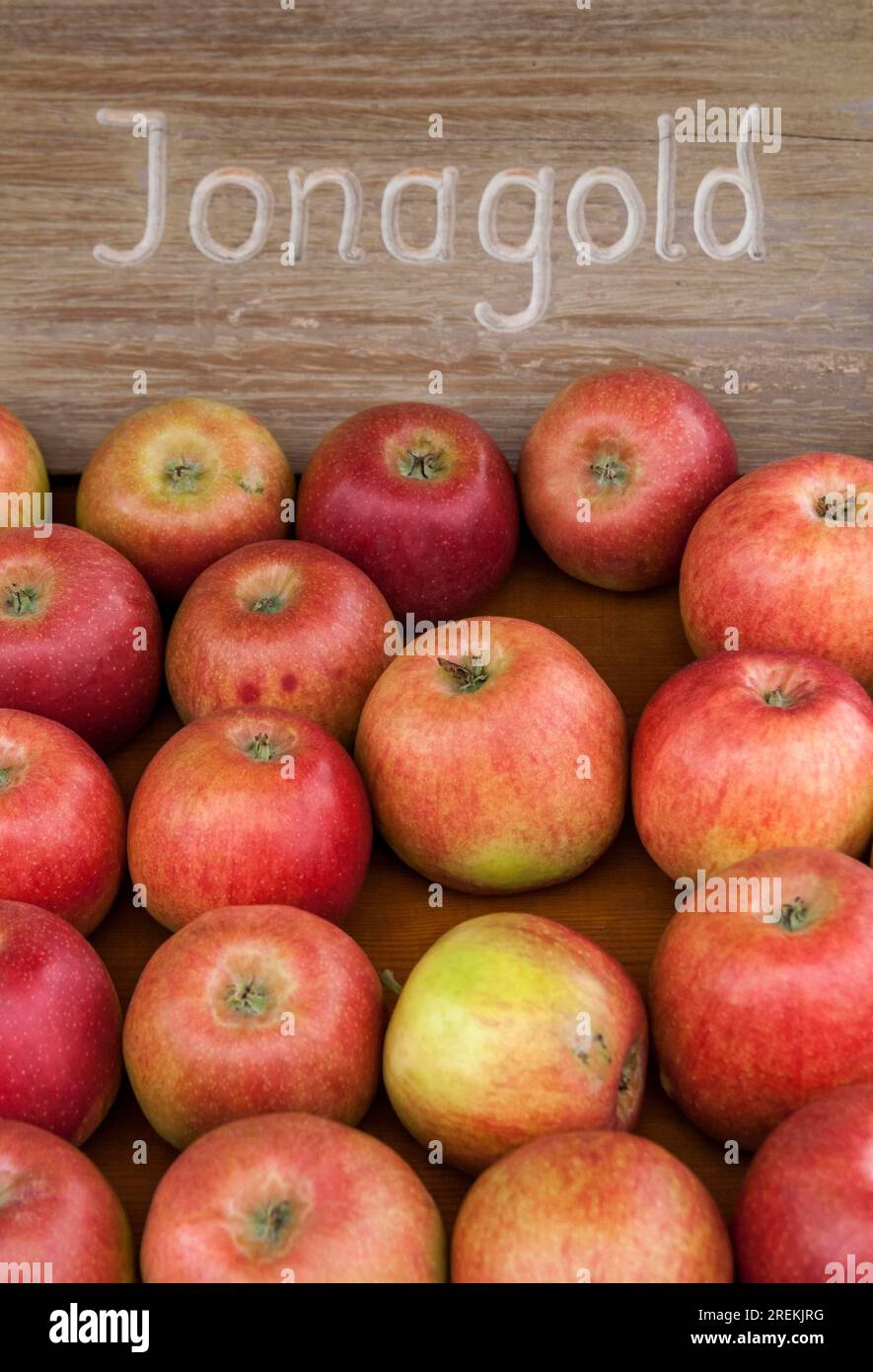 Jonagold variety hi-res stock photography and images - Alamy