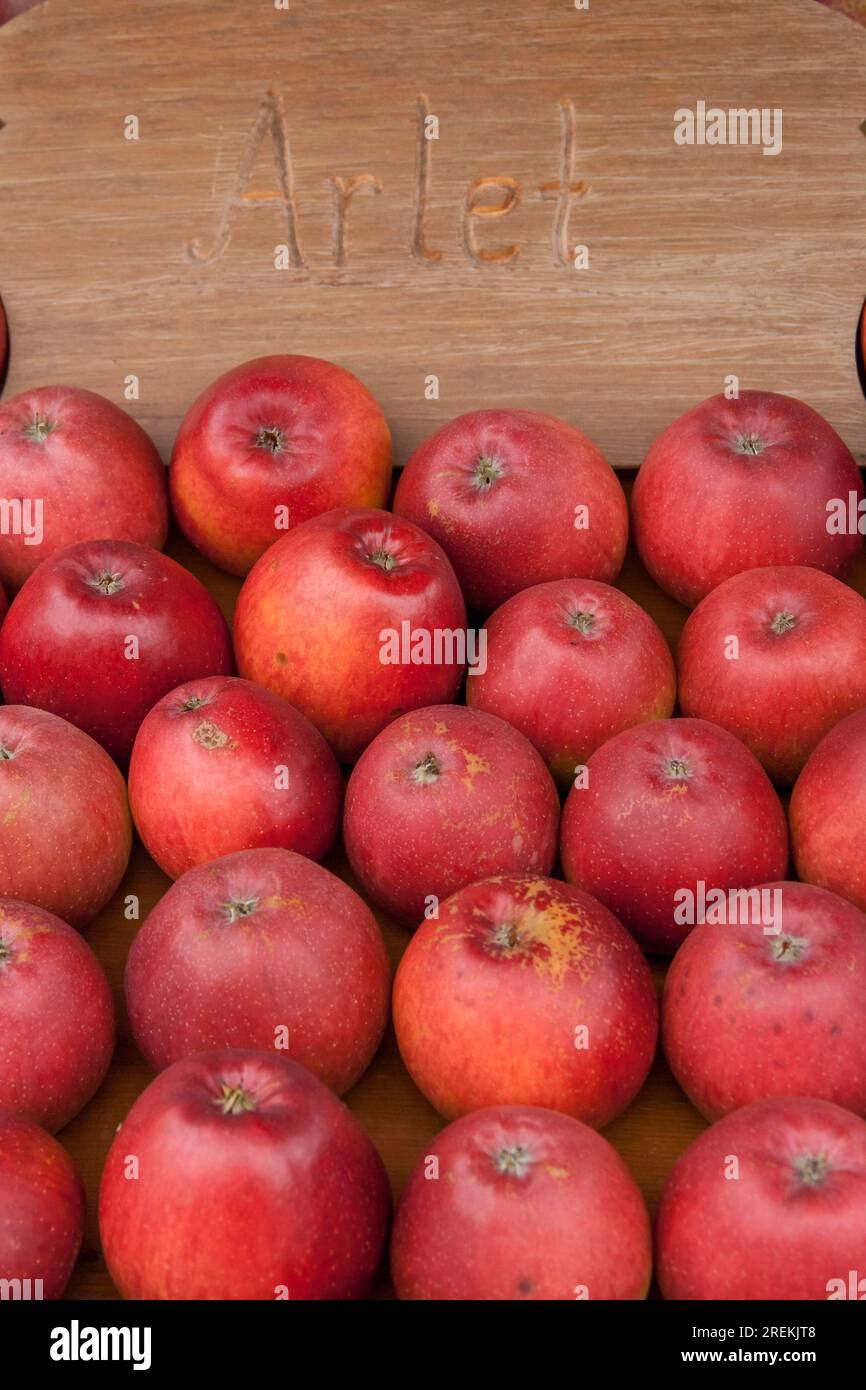 Apple tree (Malus), Arlet variety Stock Photo - Alamy