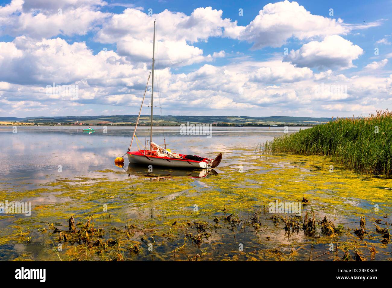 Sailing boat on the Kelbra reservoir Stock Photo - Alamy