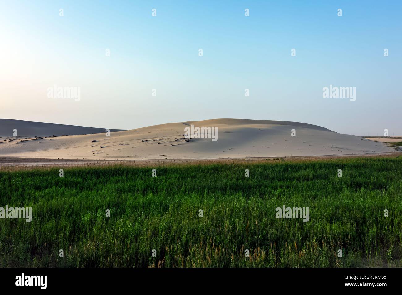 Beautiful Desert landscape view in Dammam Saudi Arabia Stock Photo - Alamy
