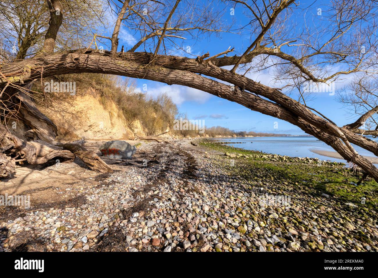 German Baltic Coast in Spring Stock Photo - Alamy