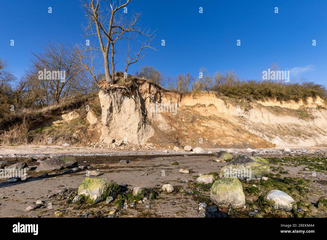 German Baltic Coast in Spring Stock Photo - Alamy