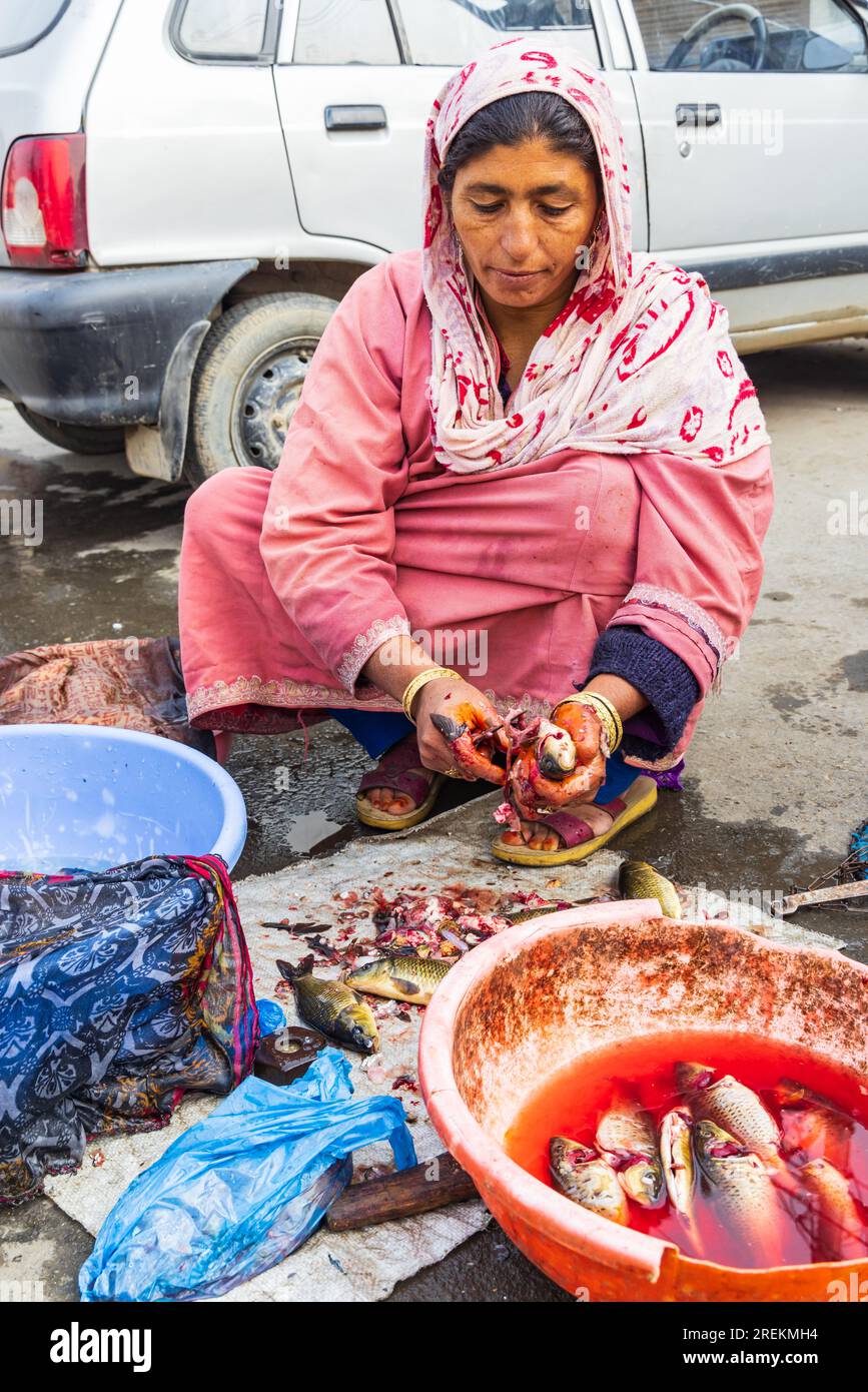 Shamswari, Srinagar, Jammu and Kashmir, India. October 25, 2022. Woman ...