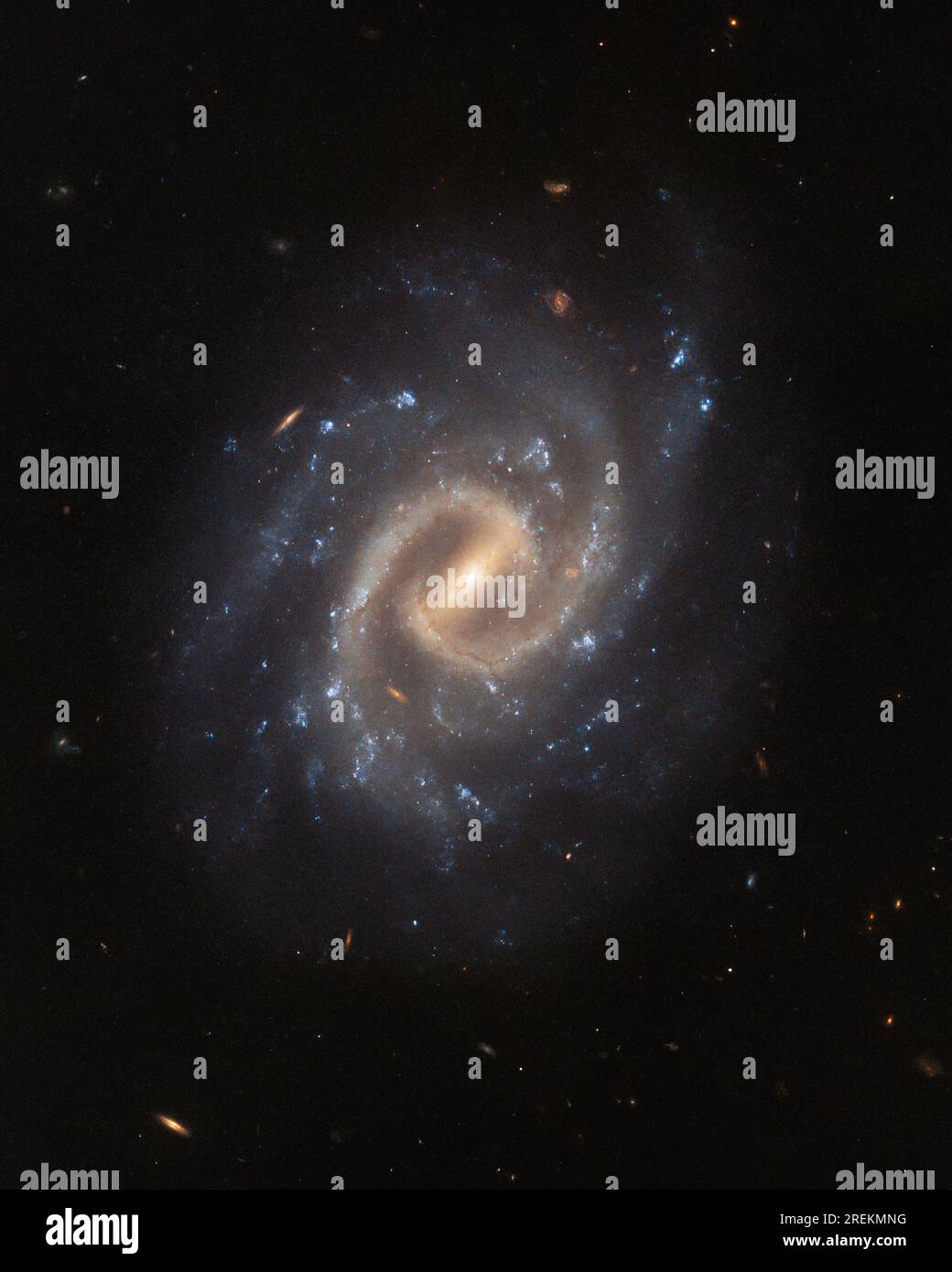 July 24, 2023 - Space - The tranquil spiral galaxy UGC 12295 basks ...