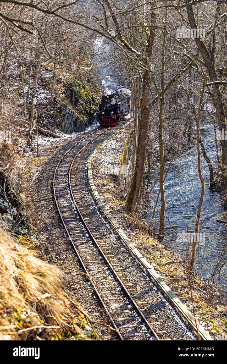 Harz narrow gauge railway Selketalbahn Harz Stock Photo - Alamy