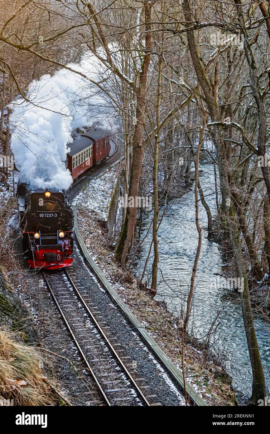 Harz narrow gauge railway Selketalbahn Harz Stock Photo - Alamy