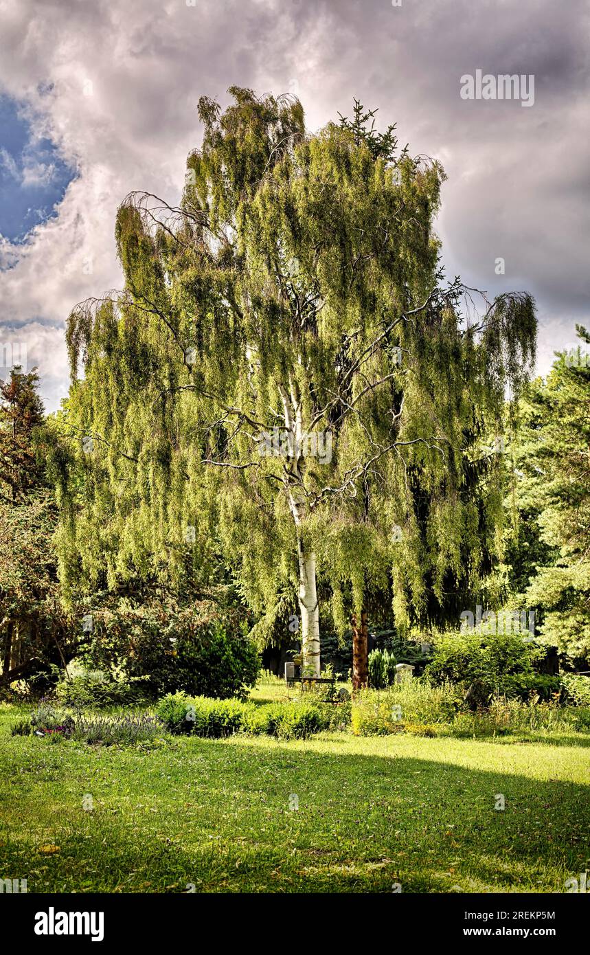 Hdr shot hi-res stock photography and images - Alamy