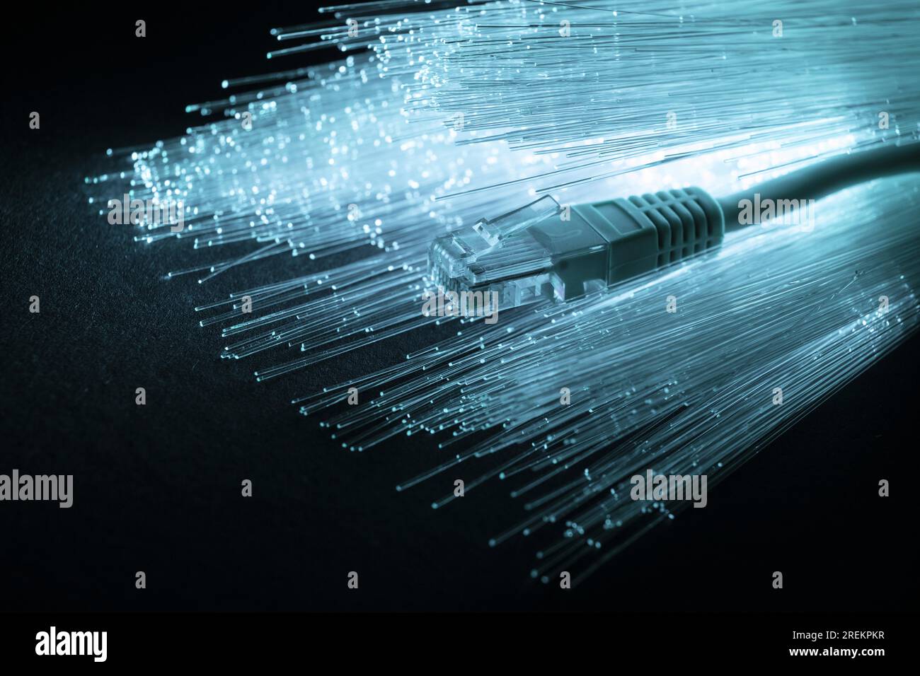 Blue optic fiber with ethernet cable Picture on pik. Resolution and ...