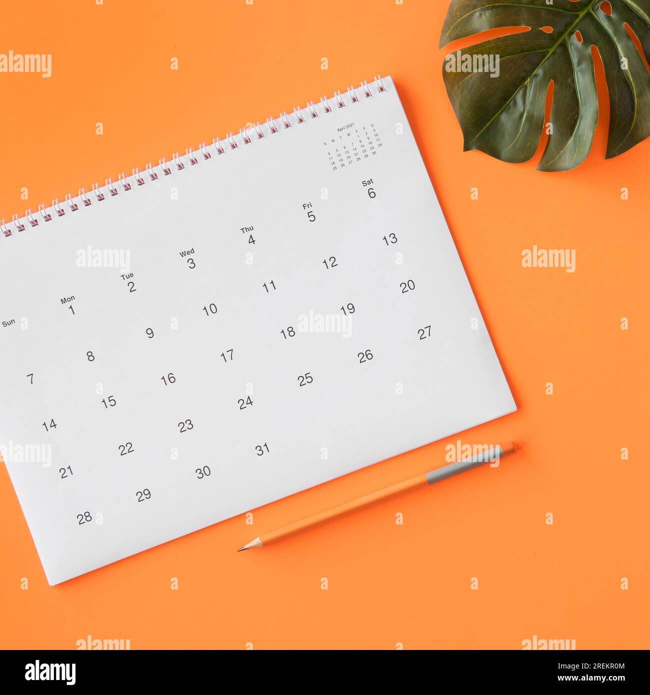 Calendar with pencil monstera leaf. Resolution and high quality ...