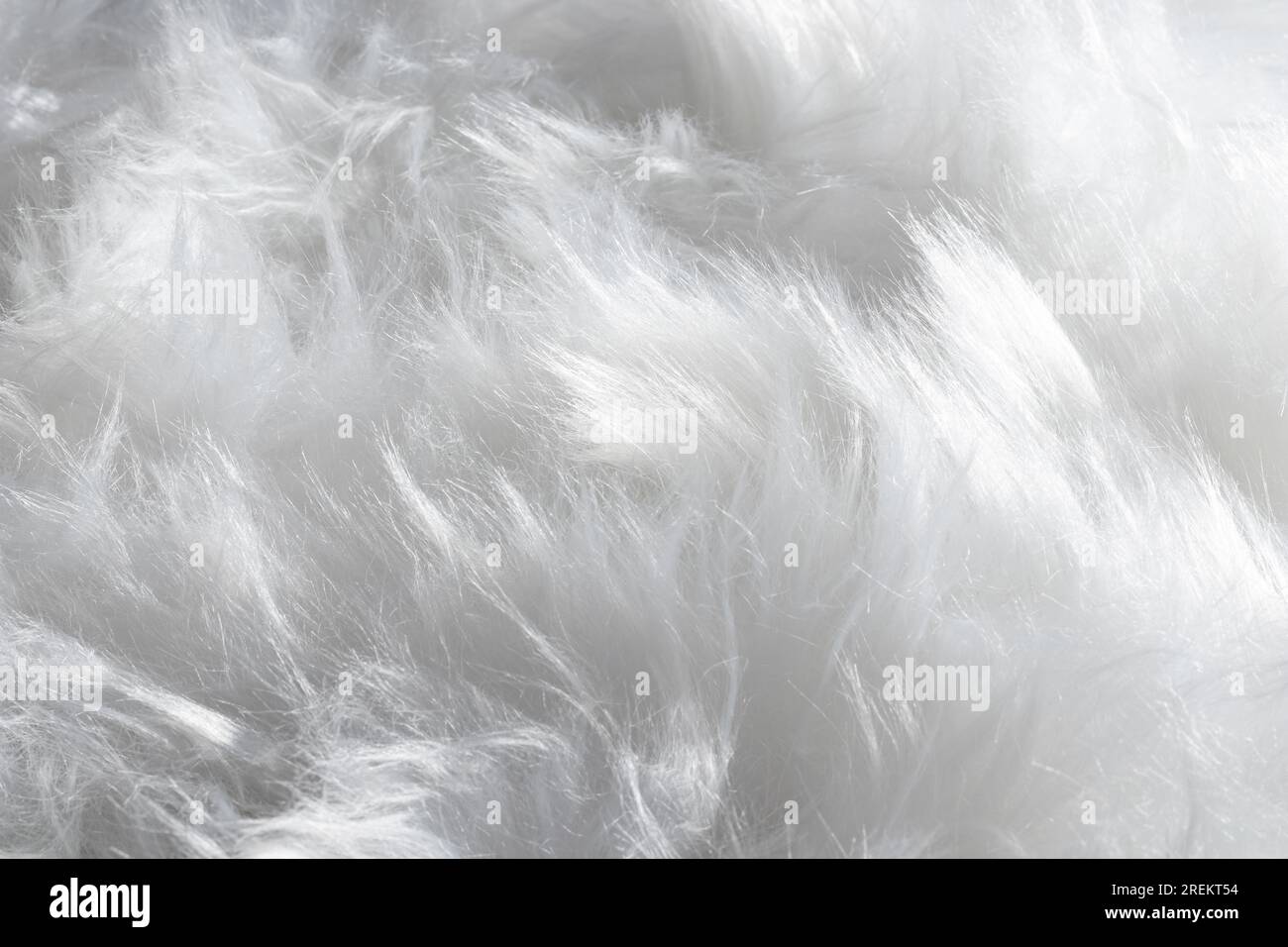 High feathers hi-res stock photography and images - Alamy