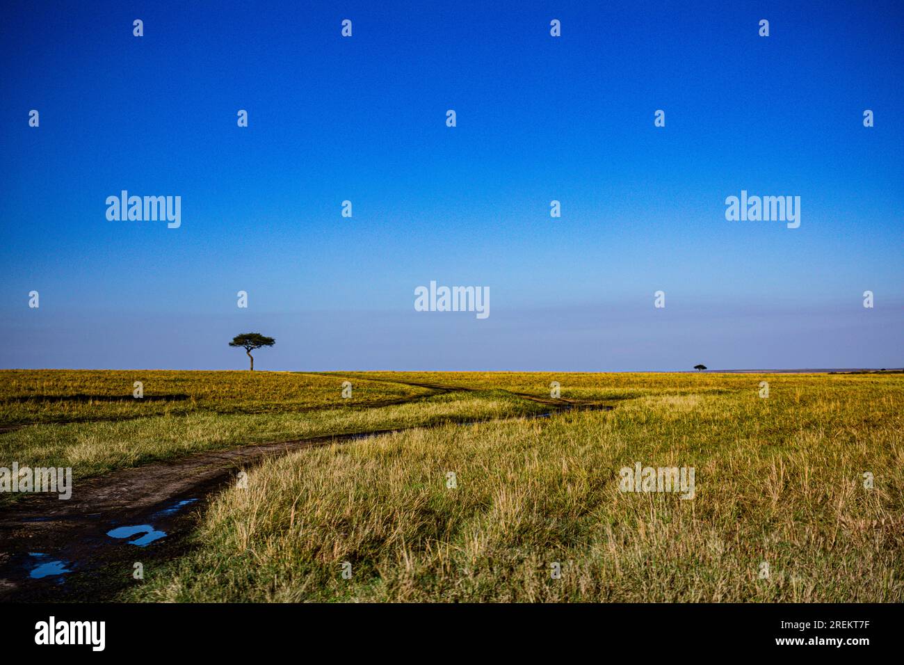 Maasai Mara National Reserve is an area of preserved savannah ...