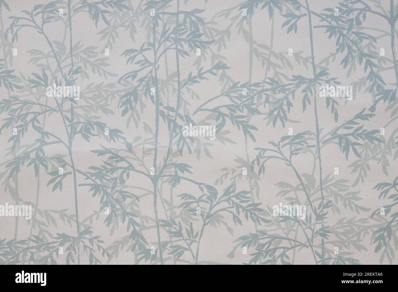 Full frame wallpaper. Resolution and high quality beautiful photo Stock ...