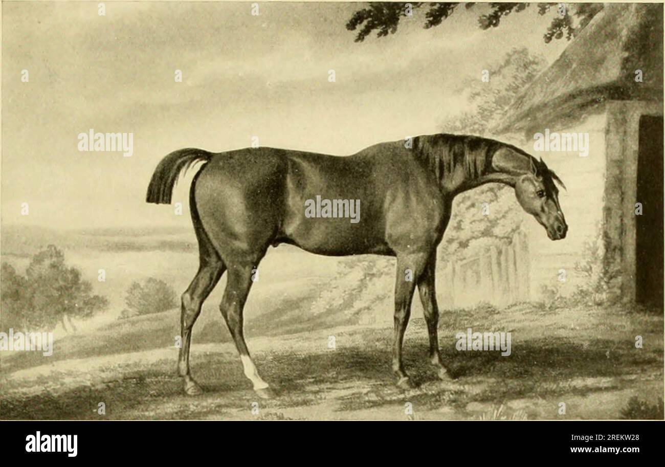 Eclipse & OKelly : being a complete history so far as is known of that ...