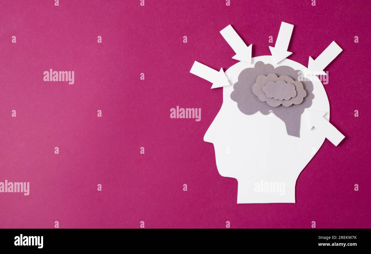 Paper made brain person head. Resolution and high quality beautiful ...