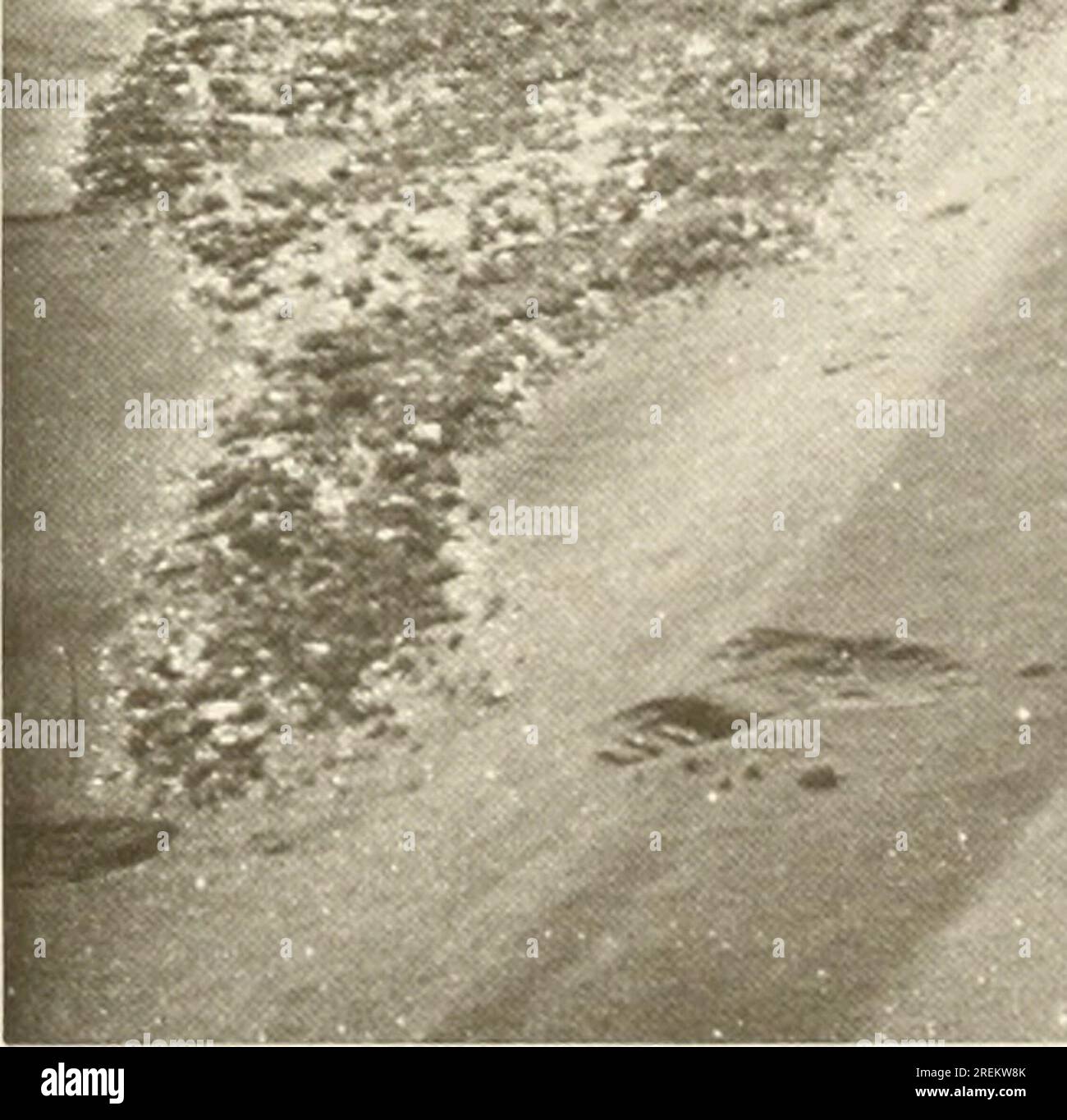 "Ecological investigations of the tundra biome in the Prudhoe Bay ...