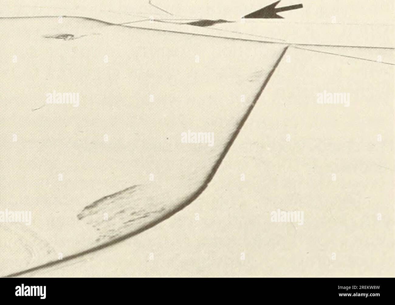 "Ecological investigations of the tundra biome in the Prudhoe Bay ...