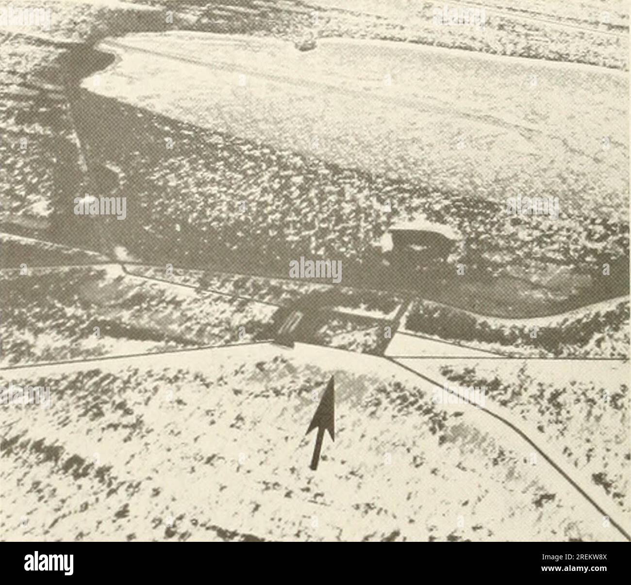 "Ecological investigations of the tundra biome in the Prudhoe Bay ...