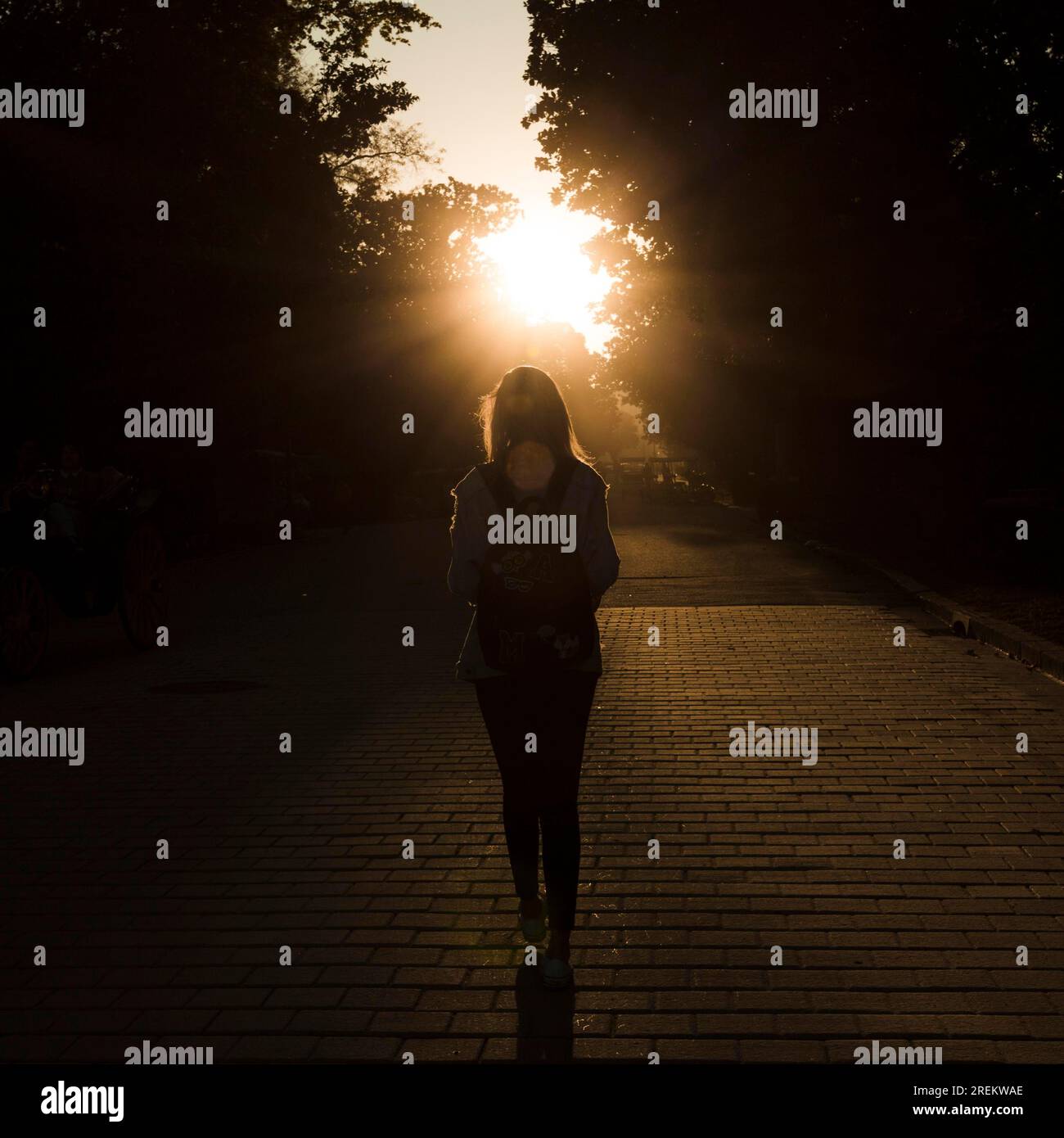 Back view woman sunset. Beautiful photo Stock Photo - Alamy