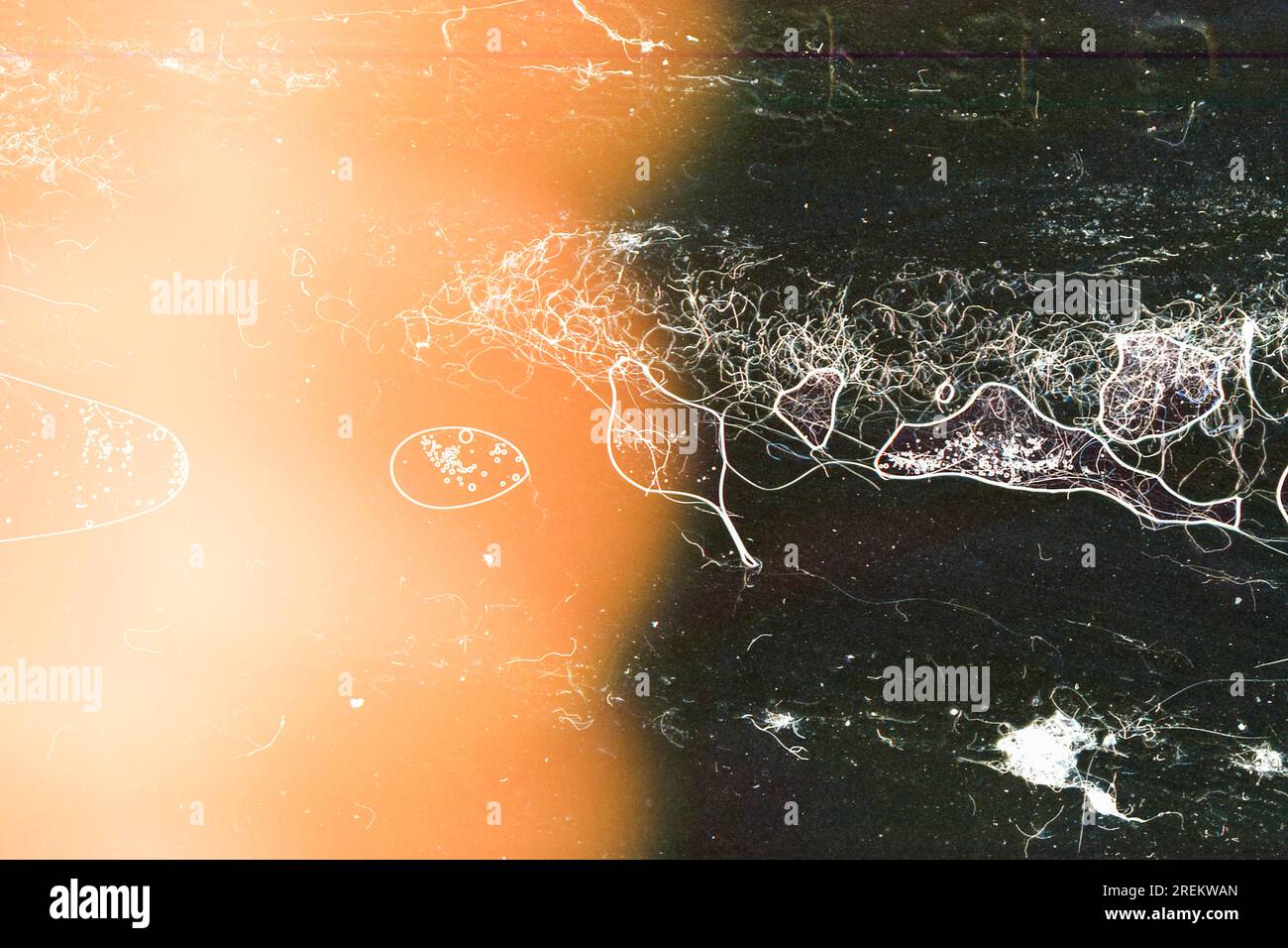 Abstract light background (2) . Beautiful photo Stock Photo - Alamy