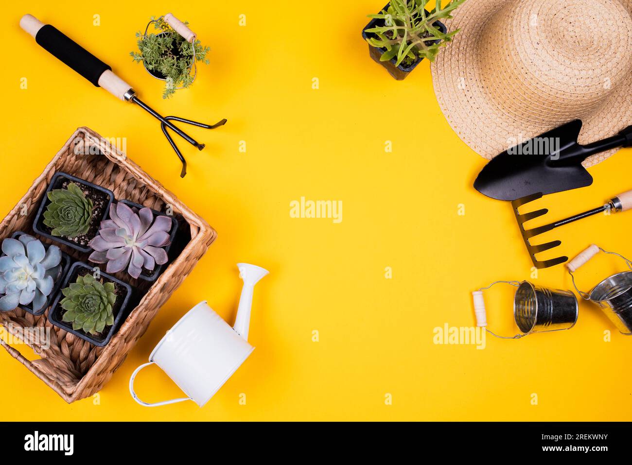 Flat lay gardening tools basket with plants. Beautiful photo Stock ...