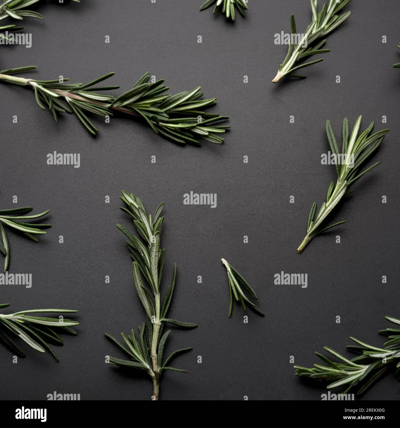 Sprig rosemary spread black background. Beautiful photo Stock Photo - Alamy