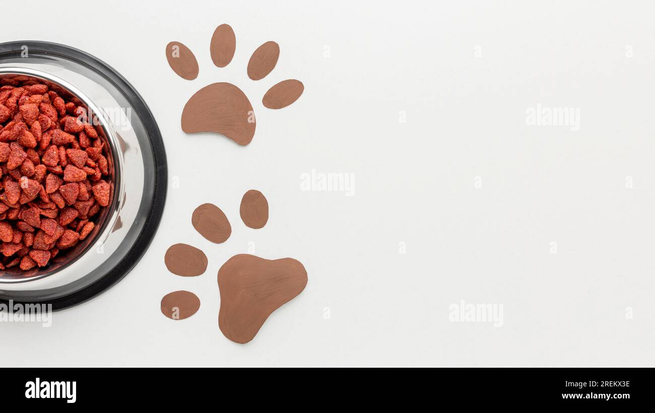 Top view animal food with paw print animal day. Beautiful photo Stock ...