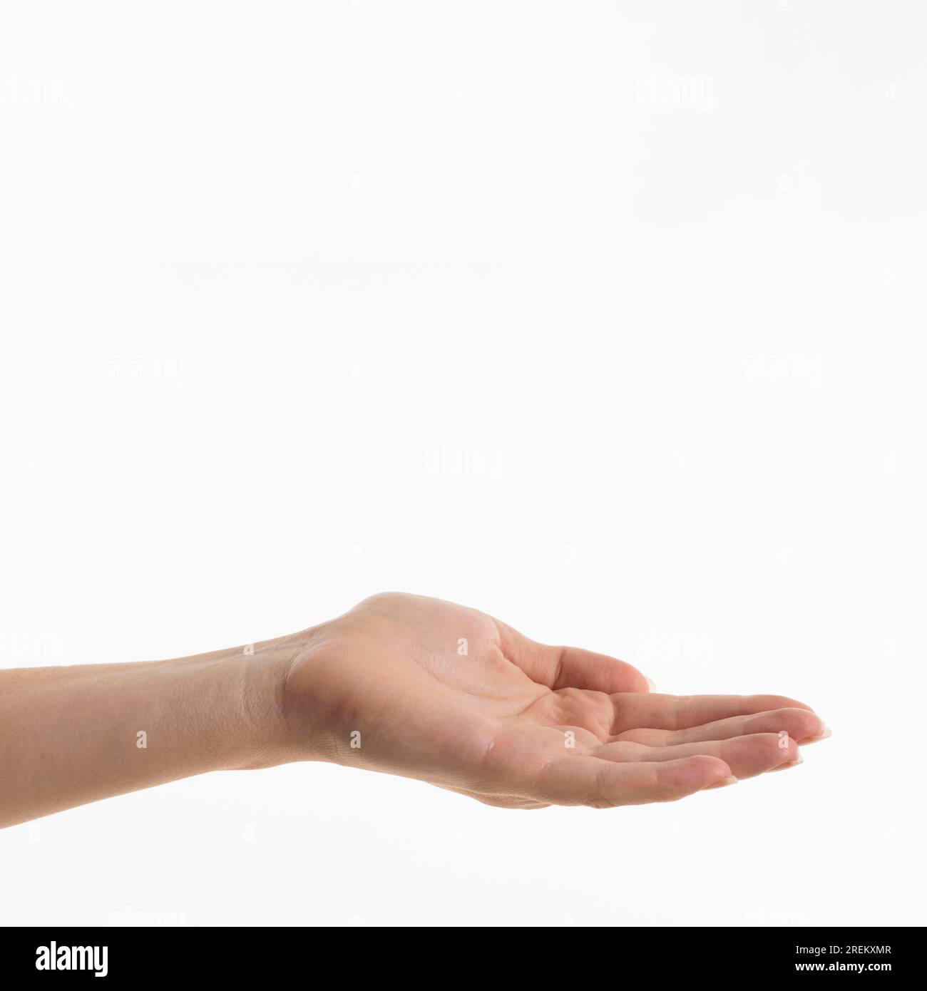 Front view hand asking something. High resolution photo Stock Photo - Alamy