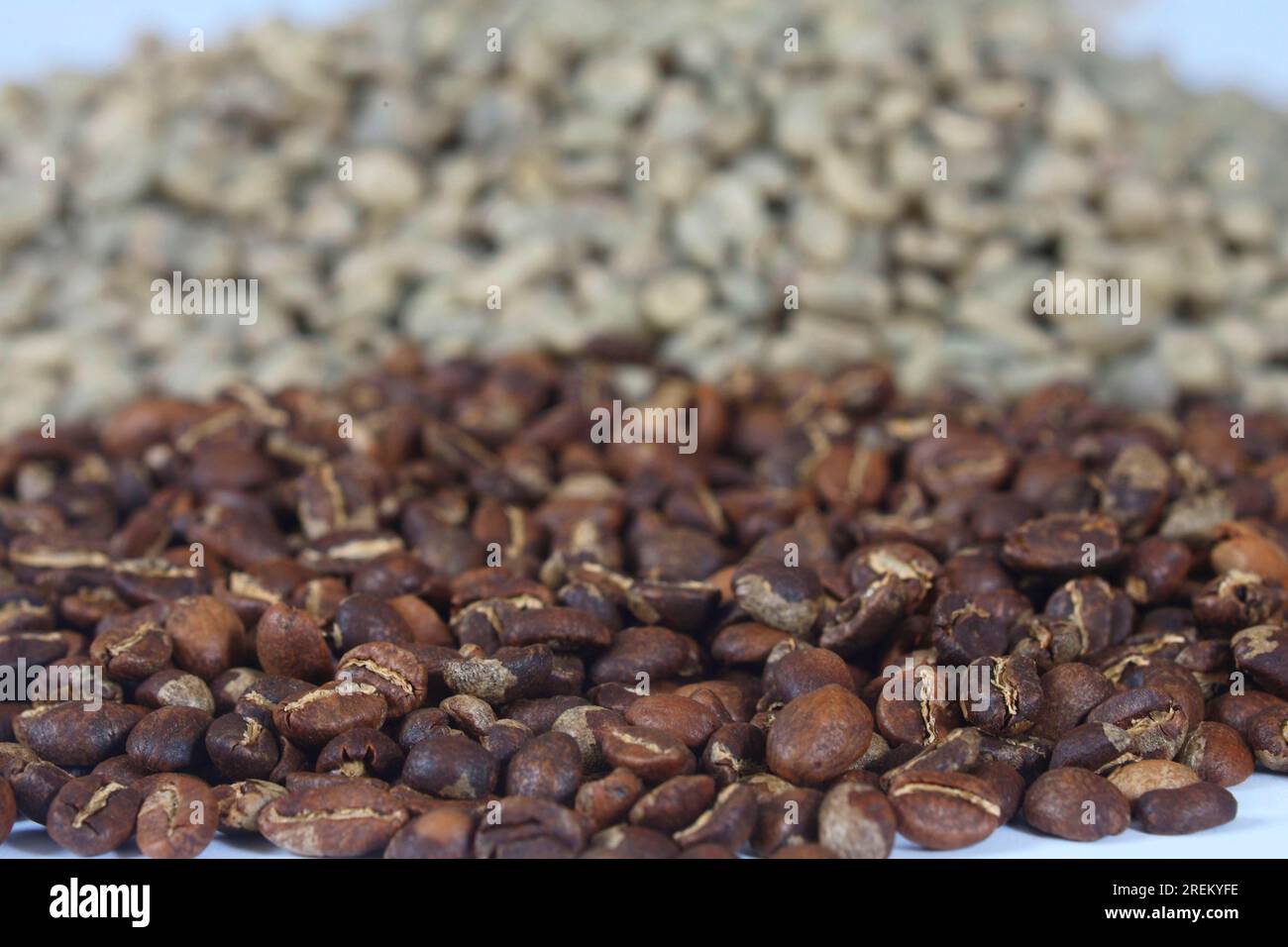 Coffee (Coffea arabica) beans Ethiopia, Yirgacheffe, roasted Stock ...