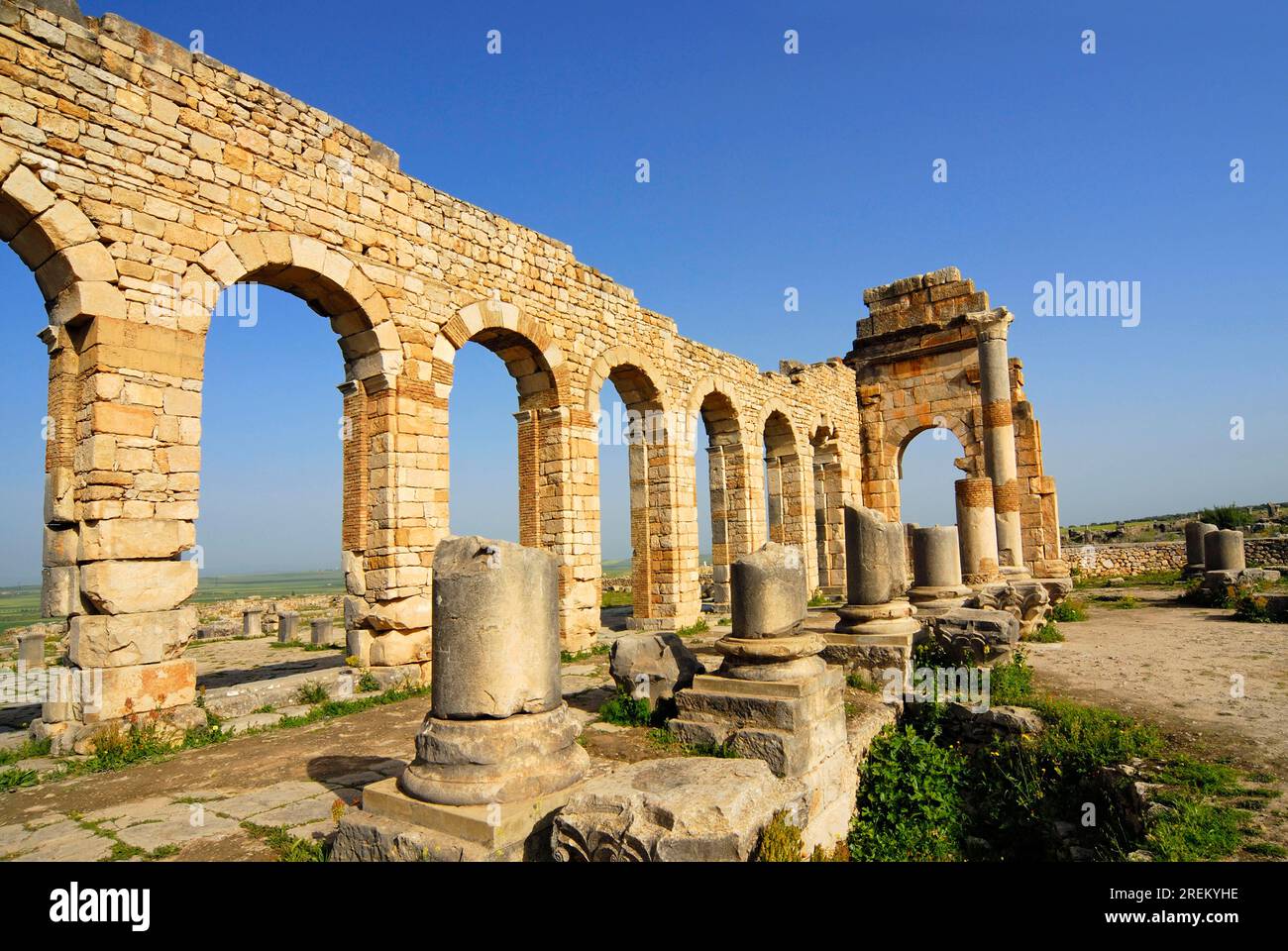 Basilica ruins, Volubilis, ancient Roman city, Morocco Stock Photo - Alamy