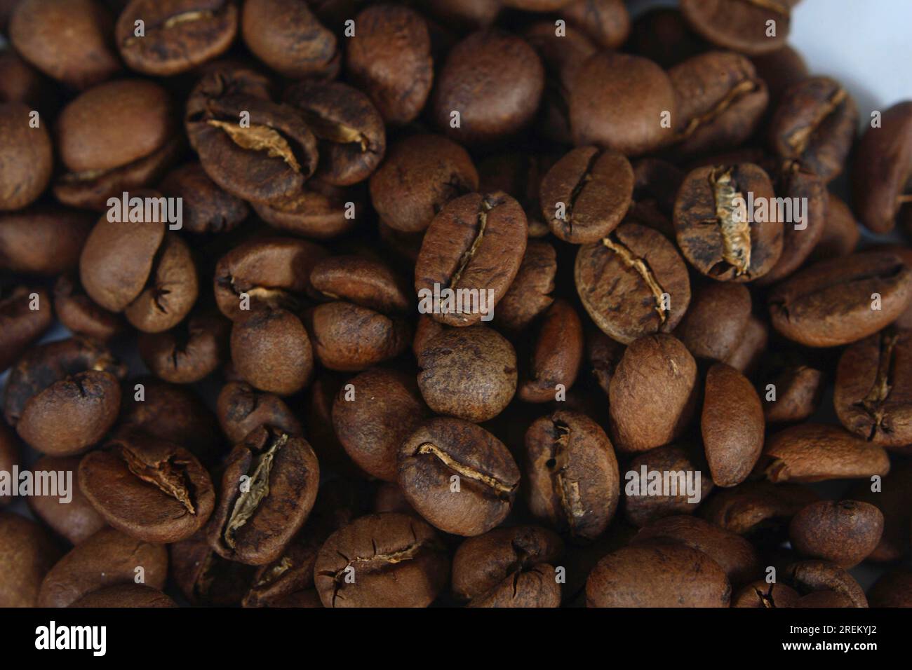 Coffee (Coffea arabica) beans Indonesia Kopi Luwak, roasted Stock Photo ...
