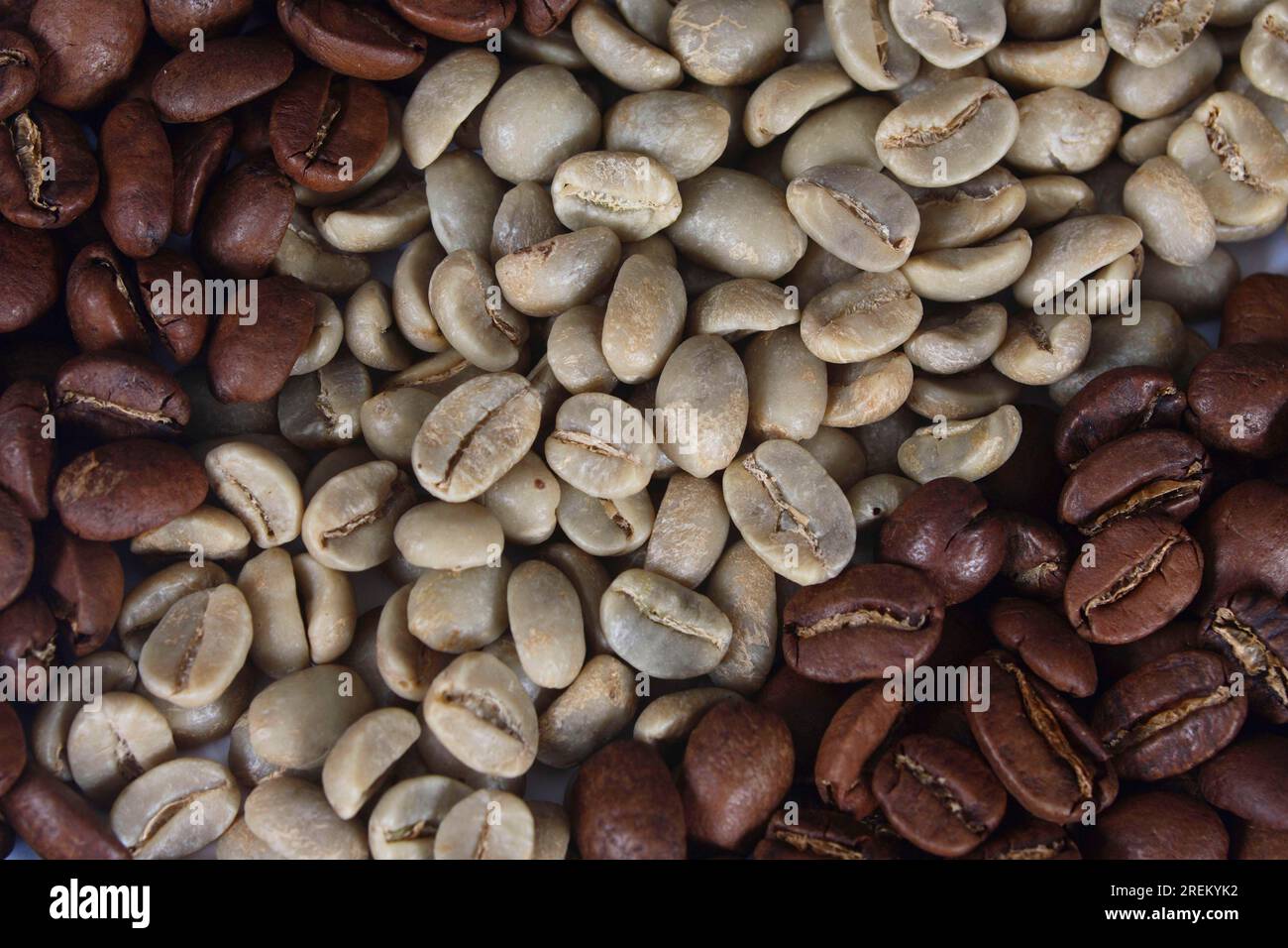 Jamaica blue mountain coffee beans hi-res stock photography and images ...