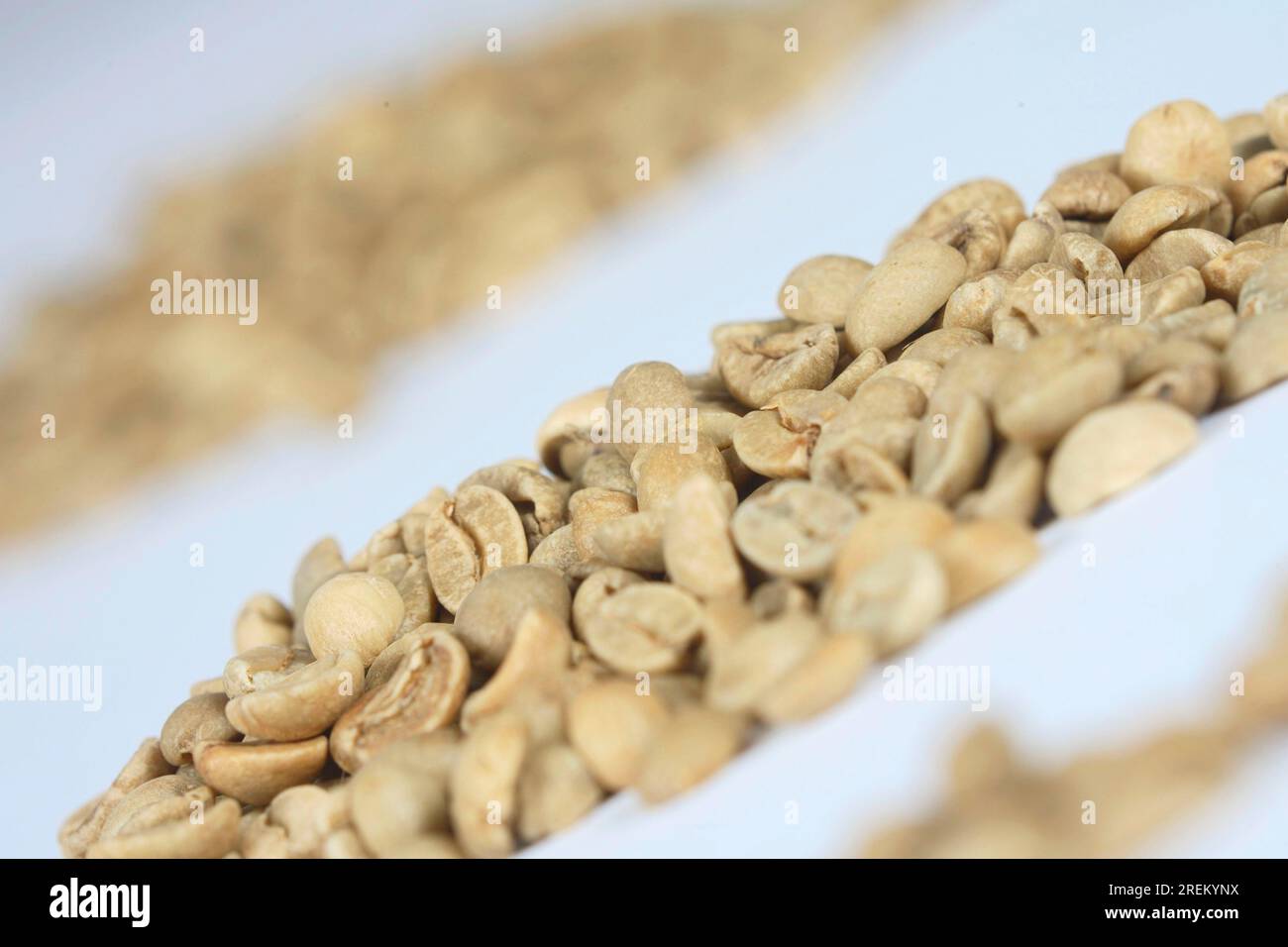 Coffee (Coffea arabica) beans Indonesia Kopi Luwak, raw Stock Photo - Alamy