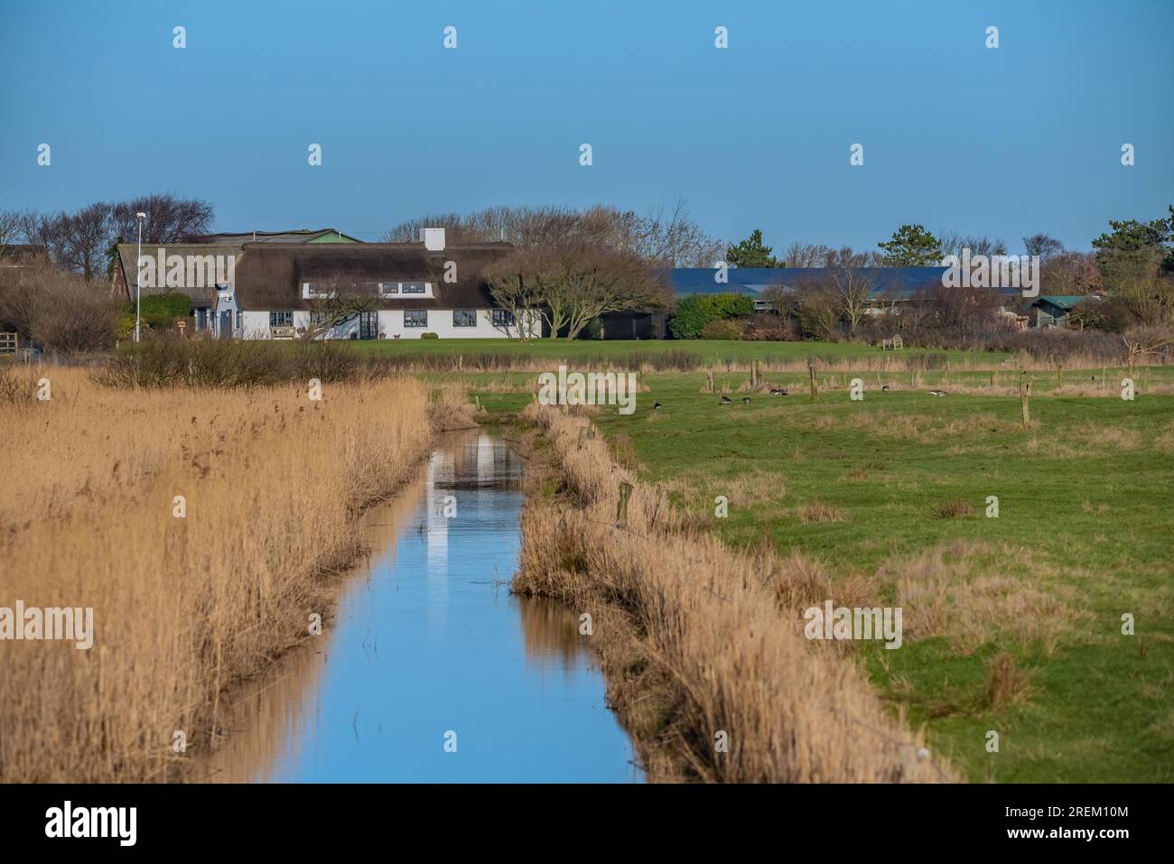 Polders in the hinterland hi-res stock photography and images - Alamy
